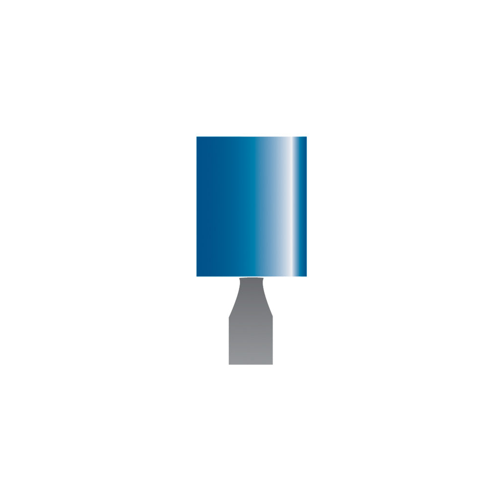 W161 Blue Mounted Points 1/8" Shank (Pkg of 24) – Gesswein