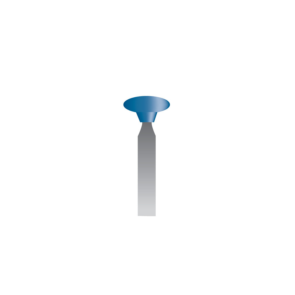 #22 Blue Mounted Points 3/32" Shank (Pkg of 24) – Gesswein