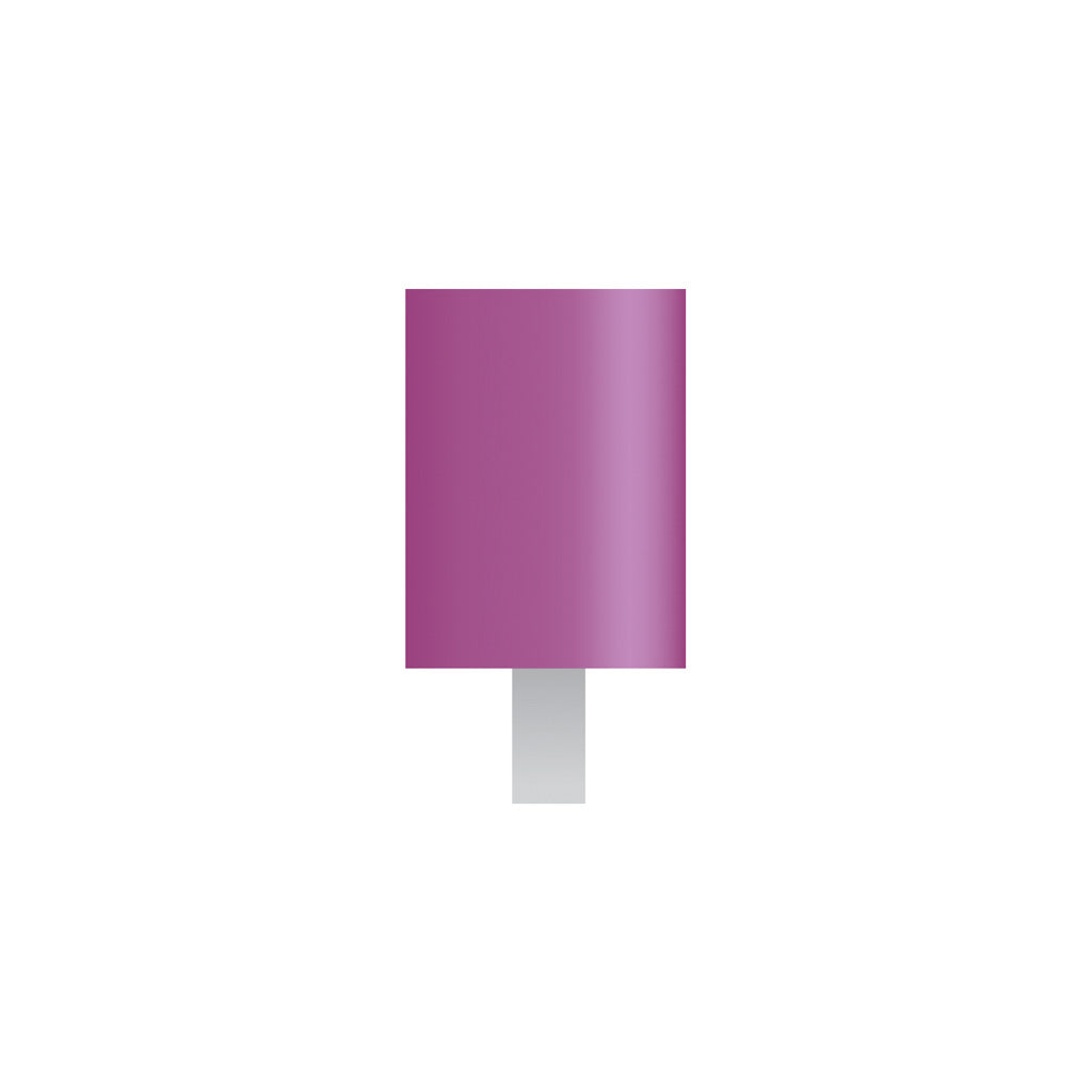 W176 Purple Mounted Points 1/8" Shank (Pkg of 24) – Gesswein